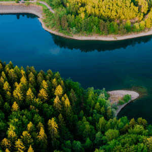 Industries - Netceed