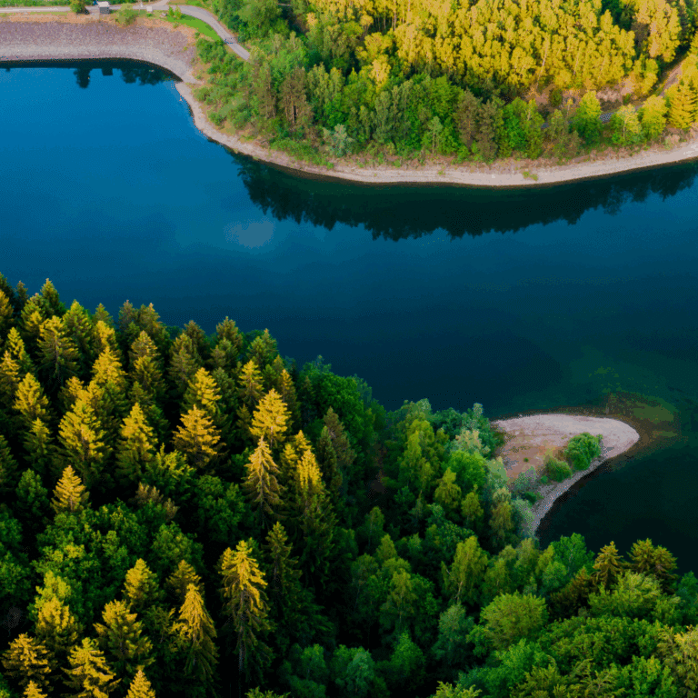 Industries - Netceed